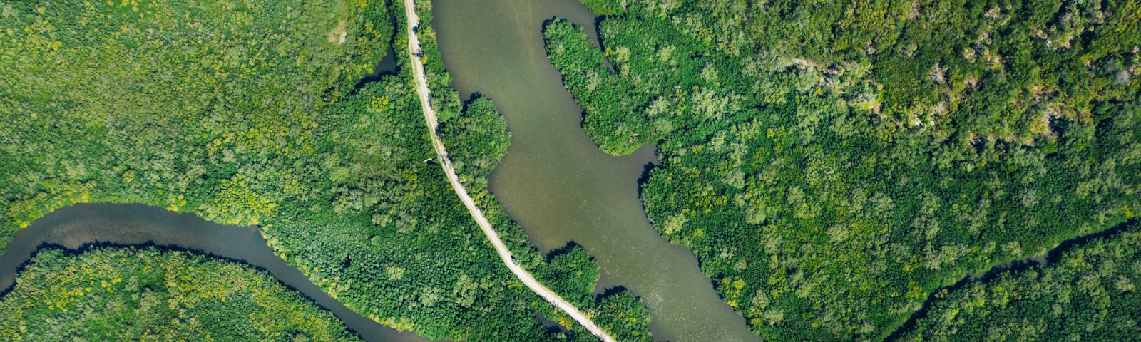 ESA GDA Forest: Leveraging EO for Sustainable Forest